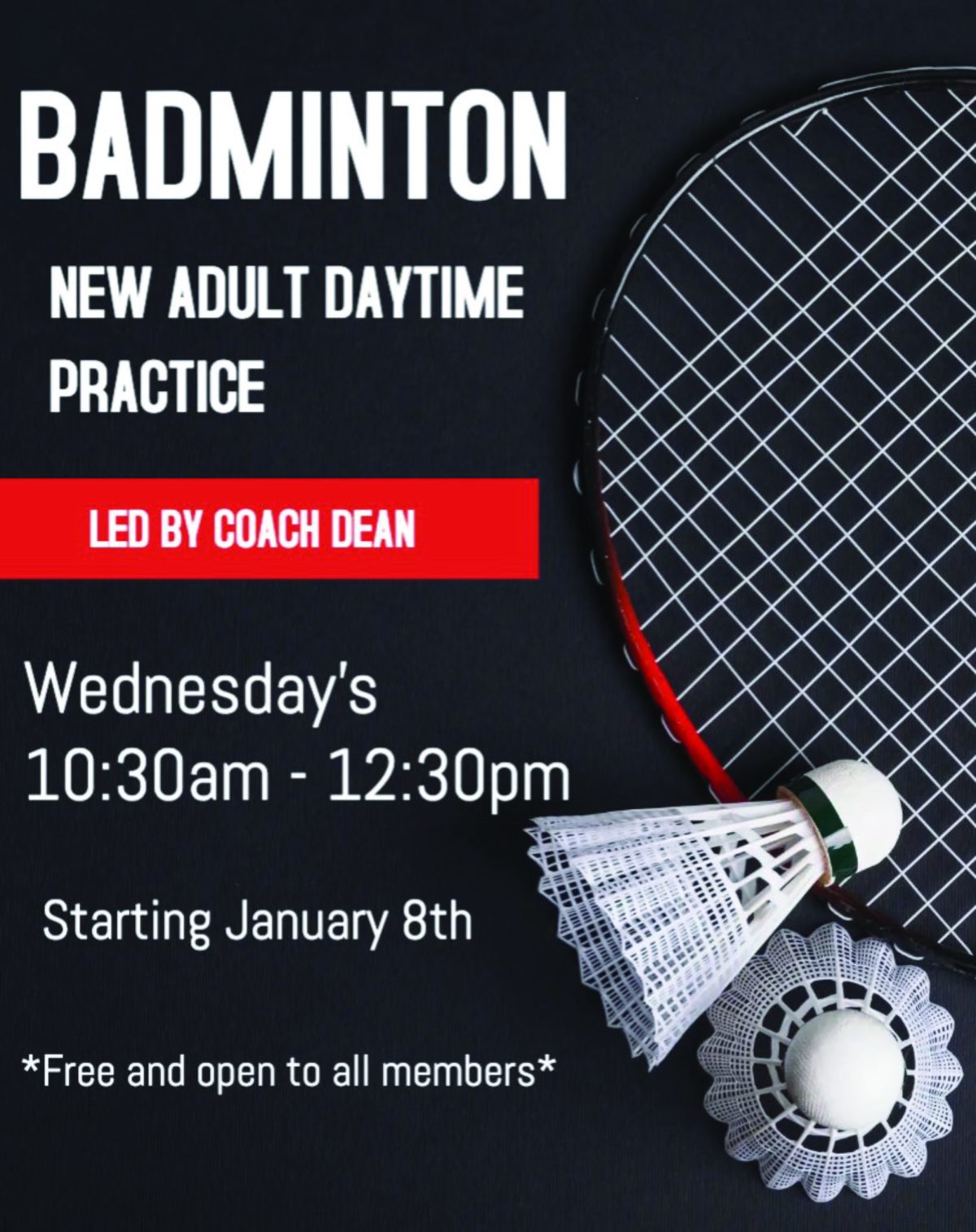 Manhattan Beach Badminton Club – Badminton, Pool, and Social Club